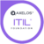 ITIL 4 Foundation - Value Insights